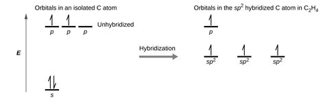C2h4 Hybridization