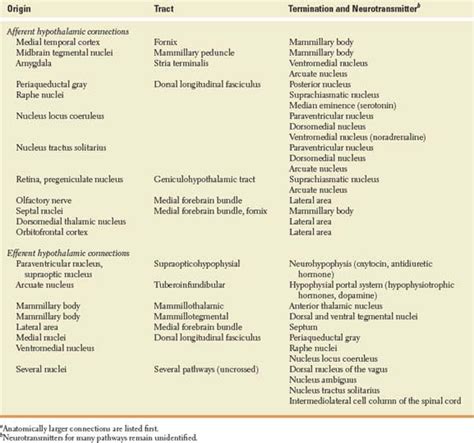 Hypothalamic Nuclei Functions