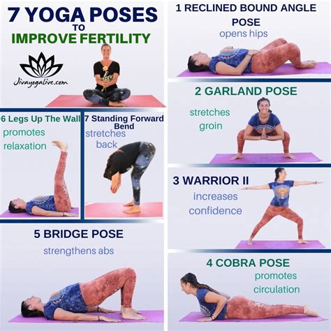 Yoga Asanas To Increase Fertility Strengthen Hormonal Balance With