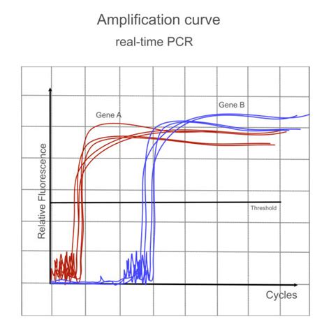 Real Time Pcr Diagram
