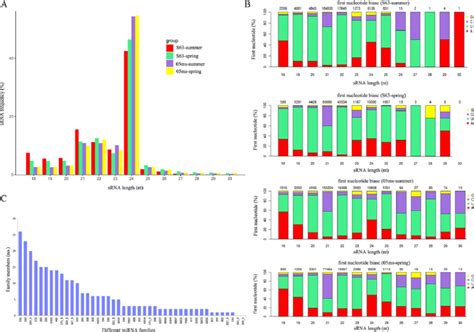 The Character Analysis Of Small Rna Srna In The Sterile Line 05ms And Download Scientific