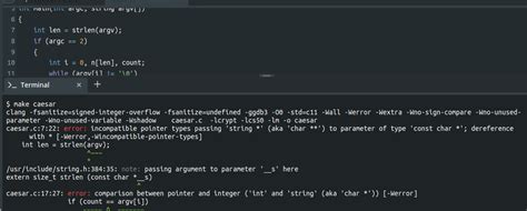 when david used the function strlen to calculate the string length of zamyla it worked fine