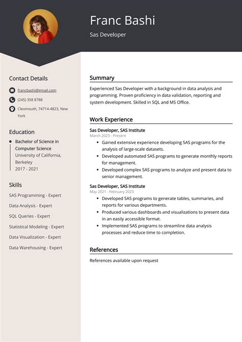 Sas Developer CV Examples Template 20 Tips