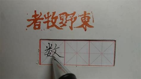 写数学的数时要点在女字底和反文旁的写法 教育 兴趣学习 好看视频