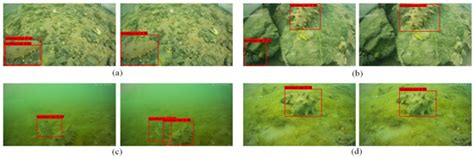 Sea Cucumber Detection Algorithm Based On Deep Learning