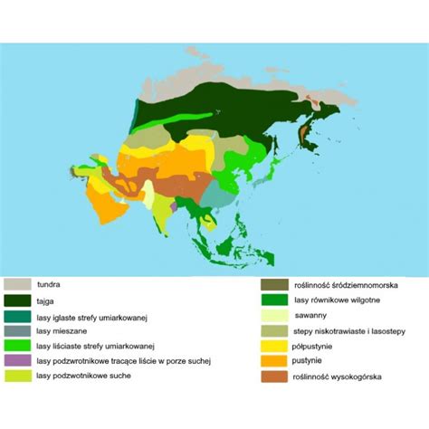 Azja Mapa Biomowa 50 X 65 Cm