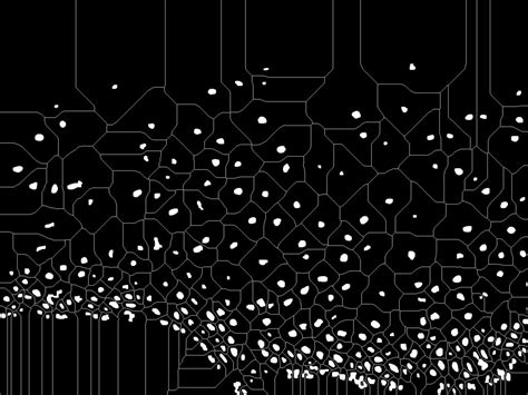 C Morphological Watershed From Markers Filter On Itk Stack Overflow