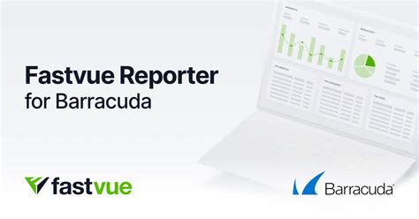 fastvue installations guides