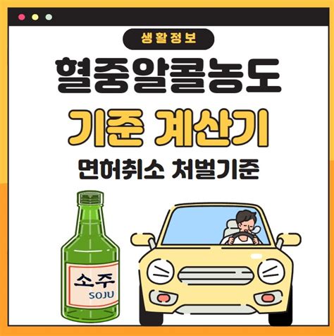 혈중알콜농도 기준 계산기면허취소 처벌기준시간 측정