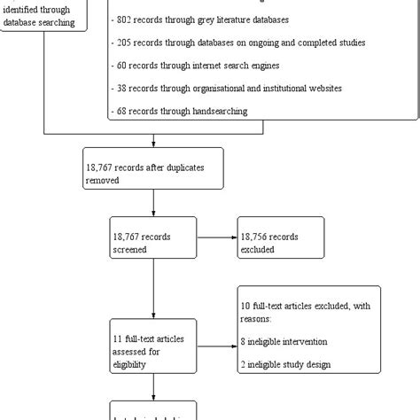 Studys Adapted Logic Model With Causal Pathways Download Scientific