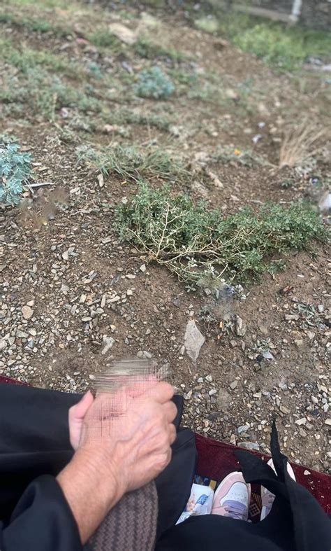 واهه ياحبي لها 2024