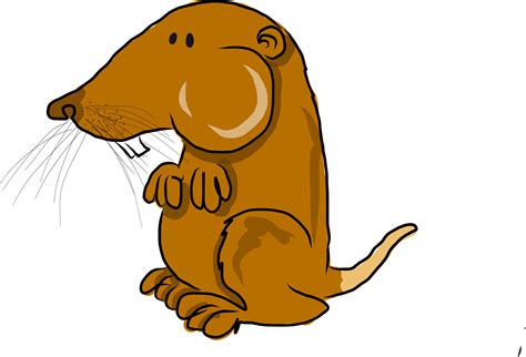 Download Pocket Gopher Mammal Cartoon Royalty Free Stock