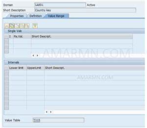 ABAP Dictionary Domain Amarmn Com