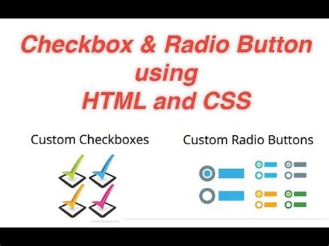 Stylish Checkbox And Radio Button Using HTML And Css YouTube