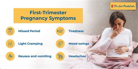 First Trimester What To Expect Dr Lal Pathlabs Blogs