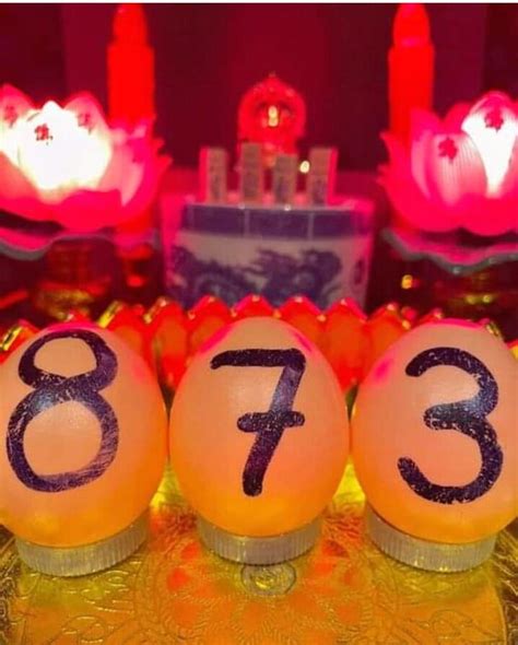 2dကိုသက်2dကိုသက်