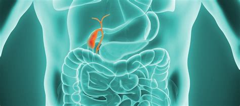 Deep Learning Transforms Gallbladder Cancer Detection R Multiplatform Ai