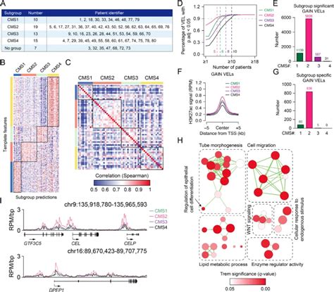 易基因｜chip Seq等组学研究鉴定出结直肠癌的致癌超级增强子：nature子刊 哔哩哔哩