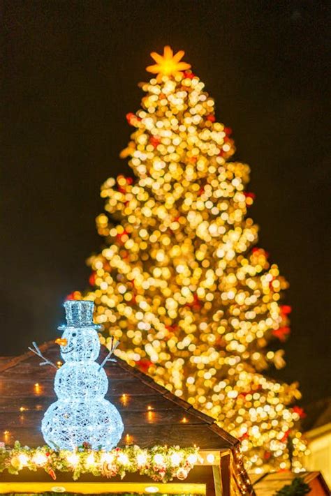 조명이 있는 눈사람이 있는 축제 크리스마스 트리 · 무료 스톡 사진