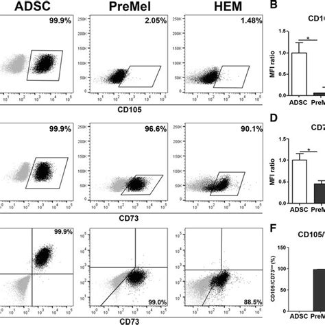 Measurement Of Tyr Activity Of Premel L Dopa Assay Was Performed In Download Scientific