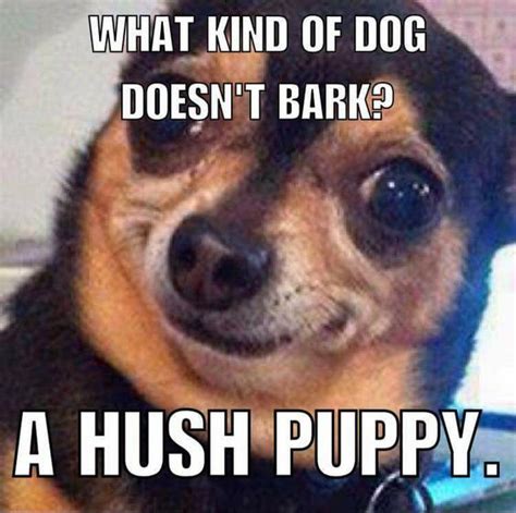 Meme Jokes Meme Funny Latest Memes