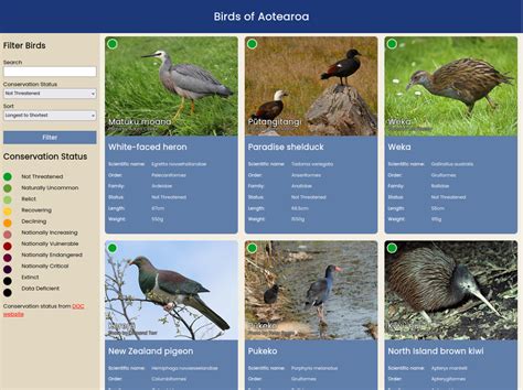 2022 Assignment 1 Gallery Cosc203 Web Databases And Networks