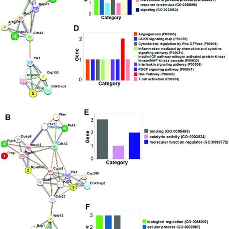 Protein Protein Interaction And Classification Analysis Among The