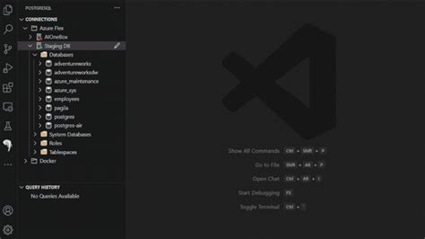 Postgresql Vscode Postgresql Stackoverflow Github Stripe Pgadmin