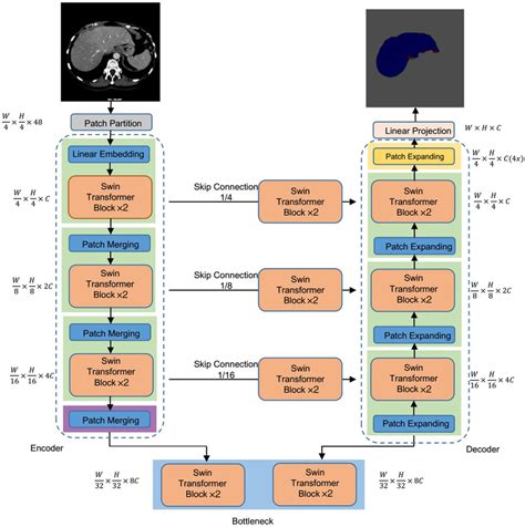 Tsfswinunet Architecture Comprising An Encoder Bottleneck Decoder And Download Scientific
