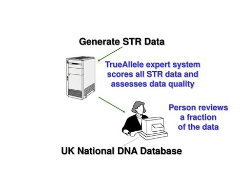 Ppt Automated Expert Systems For Dna Analysis In Criminal