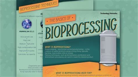 The Basics Of Bioprocessing Technology Networks