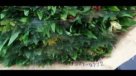 알스트로메리아 생화 인터넷꽃도매시장 생화택배 생화도매 인터넷꽃시장 인터넷꽃도매 장미대량구매 꽃 꽃다발 꽃도매 꽃시장 부산꽃시장 김해꽃시장 꽃쇼핑몰 김해꽃 부산꽃 꽃싸게사는법