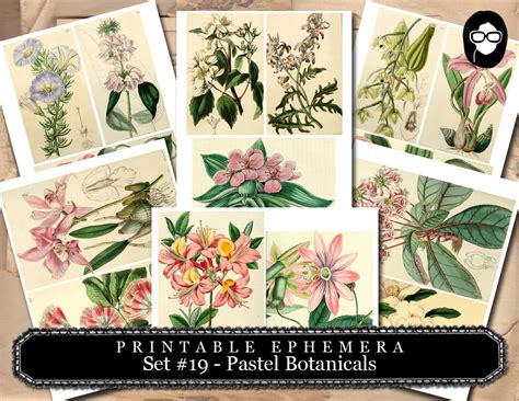 Ephemera Pack Printable Ephemera Set 19 Pastel Botanicals 30 P