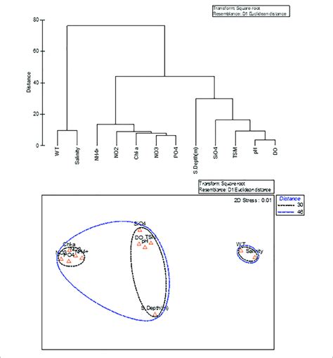 Cluster Analysis And Non Metric Multidimensional Scaling Nm Mds