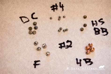 Tss Shot Penetration Testing Coyote Stuff