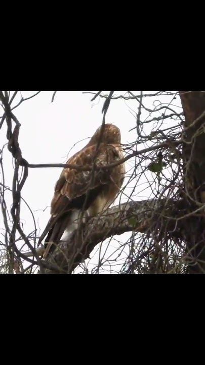 넌 누구니 한바퀴 돌아봐라 Youtube