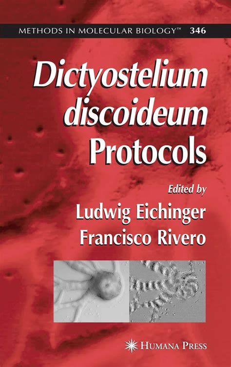Dictyostelium Discoideum Protocols Methods In Molecular Biology 346 Eichinger Ludwig