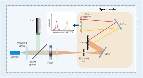 Raman Spectrometer Optics Explained Bruker