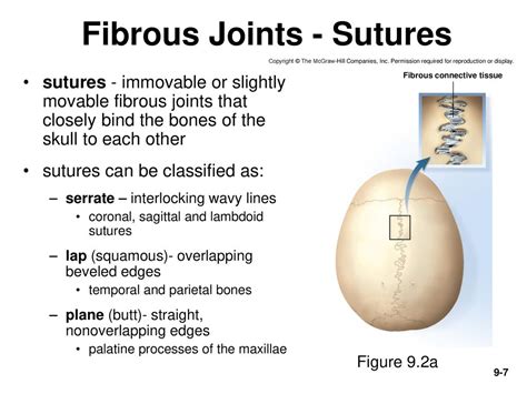 Chapter 9 Lecture Outline Ppt Download