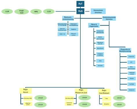 Organisatiestructuur
