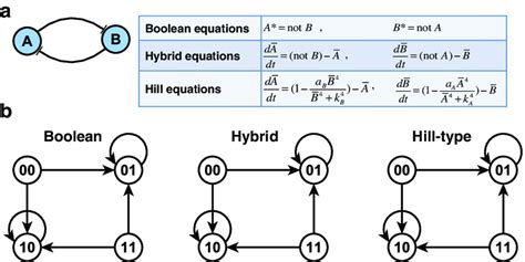 Dynamic Analysis Of A Mutual Inhibitory Positive Feedback Loop A A