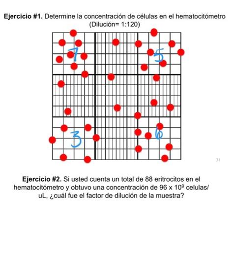 Imnulogy Lab Question Exercise 1 Determine The