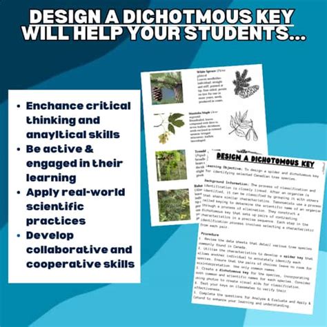 Create A Dichotomous Key Activity Classification SBI3U TPT
