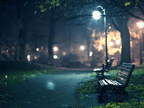 Обои Park City Night Lights город парк скамейка дорожка фонарь