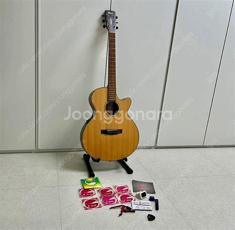 콜트기타 Cort 탑솔리드 어쿠스틱 기타 콜트 Sf 건반악기 중고나라