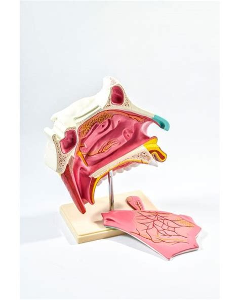 БМ015 Пресек на уво