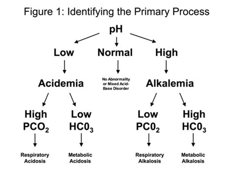 A Step Wise Approach To Acid Base Status Interpretation