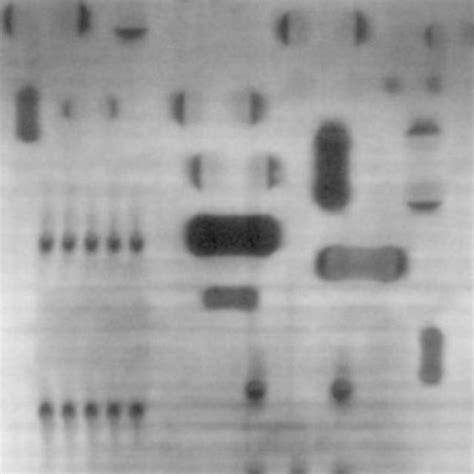Smt Res Detection Object Detection Dataset And Pre Trained Model By Fyp