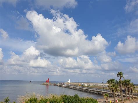 202009 제주캠핑 And 여행 8일차 이호테우해변 참맛나김밥 행복김밥 언니커피 수산봉그네 항파두리 항몽유적지 나홀로나무 해성도뚜리 완도 땅끝마을차박 네이버 블로그