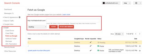 Blocking CSS JS Files Can Contribute To A Panda Penalty